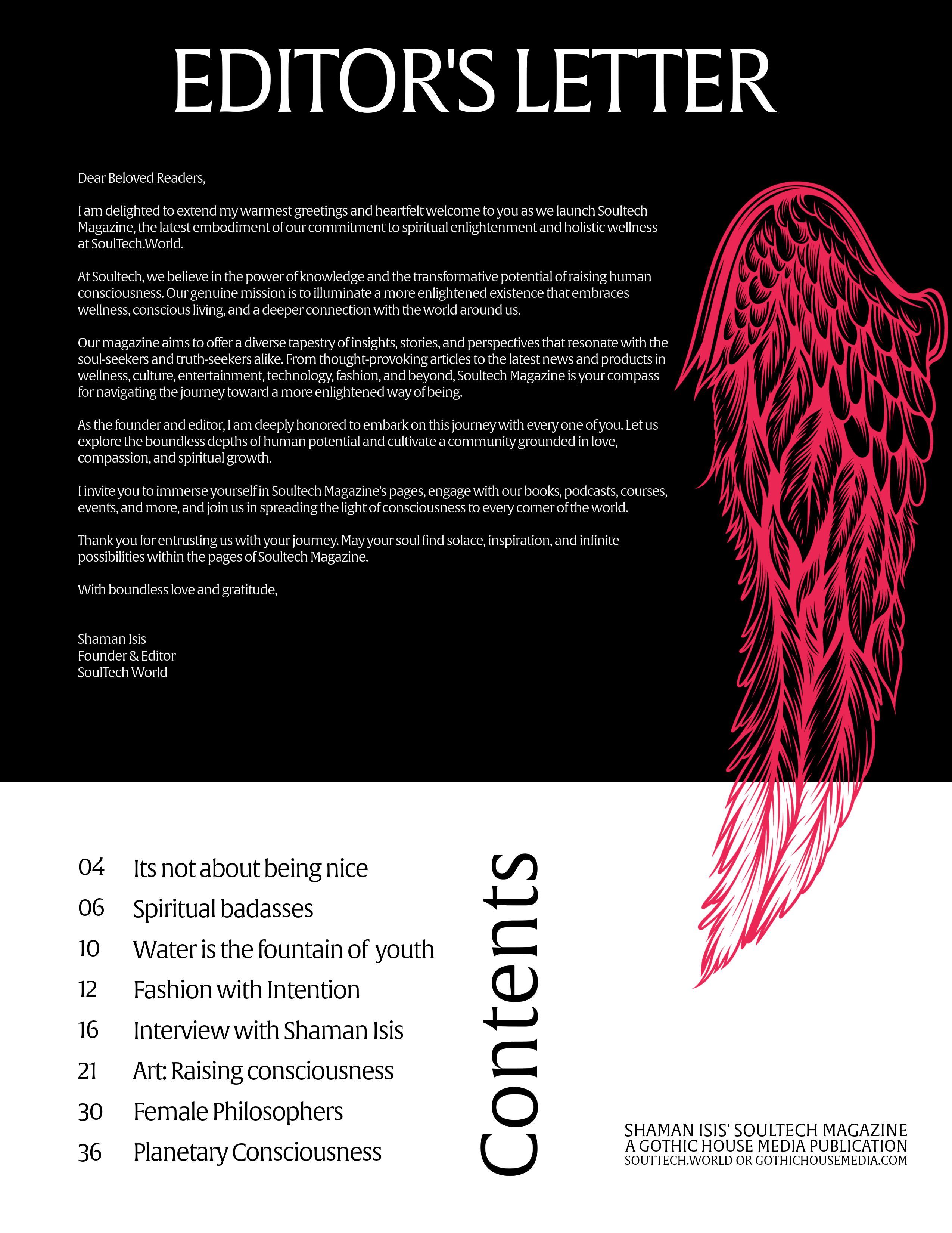 SoulTech Magazine is Available in PDF